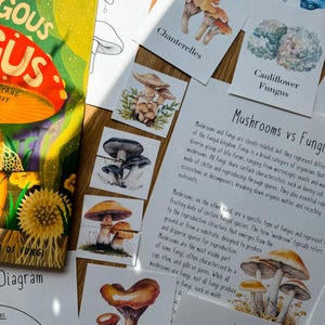 Mushroom & Fungi Unit Study, 110 Page PDF, Morning Basket, Homeschool ...