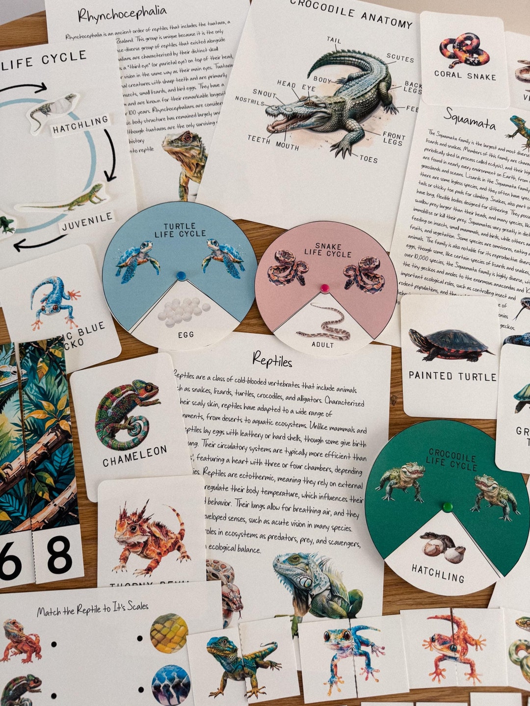 Reptiles Unit Study, Homeschool, Learning Resource, Printable, Nature ...