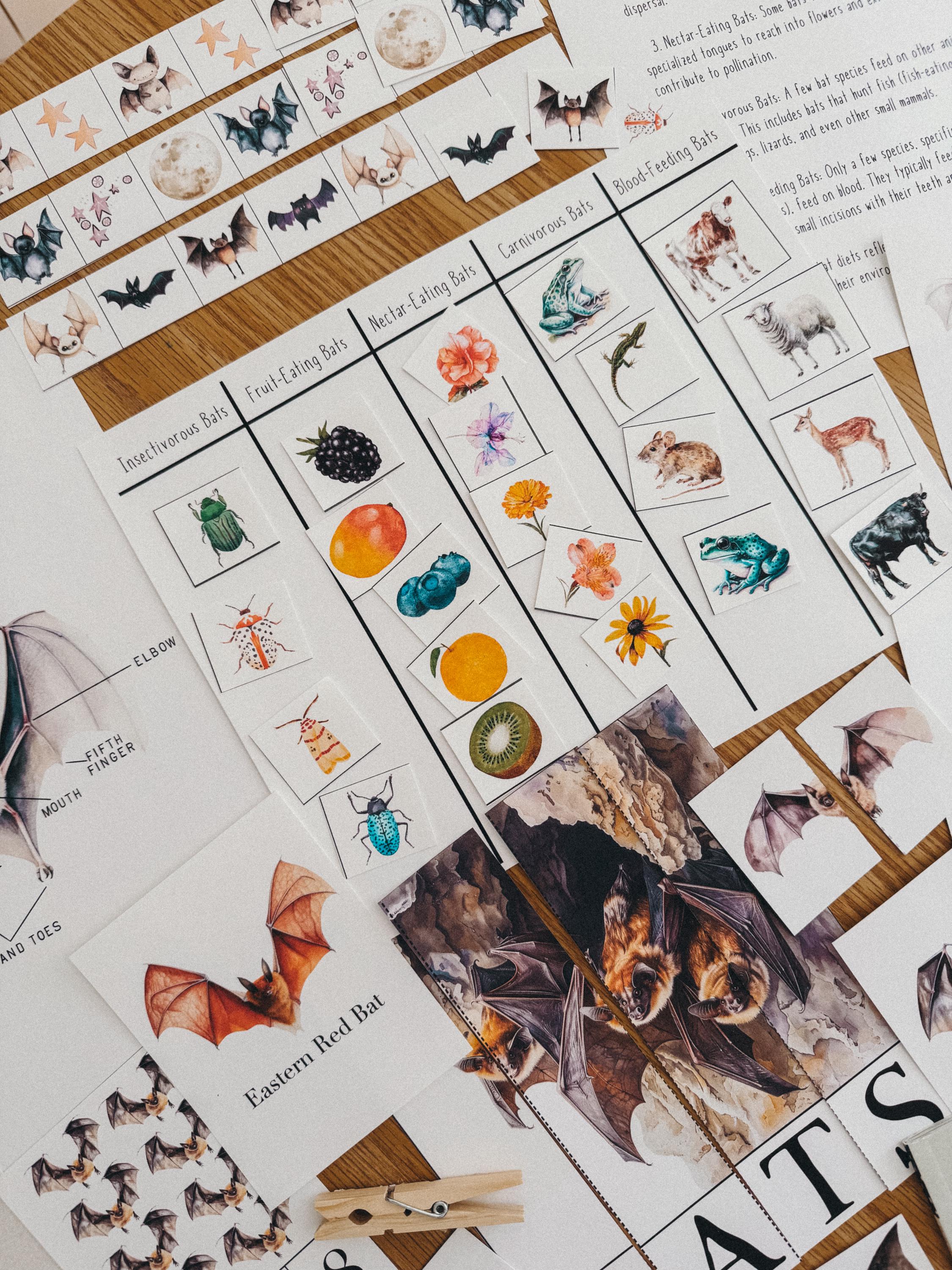 Bat Unit Study, 86 Page PDF, Morning Basket, Homeschool, Learning ...