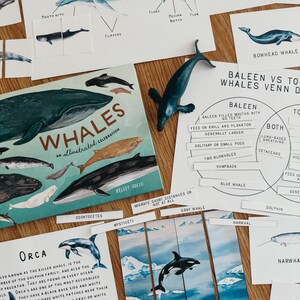 Whales Unit Study, Homeschool, Learning Resource, Printable, Nature ...