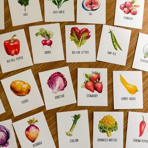 Fruit and Vegetable Flashcards, Homeschool, Learning Resource ...