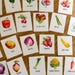 Fruit and Vegetable Flashcards, Homeschool, Learning Resource ...