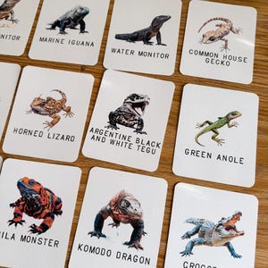 Reptile Species Flashcards, Homeschool, Learning Resource, Printable ...