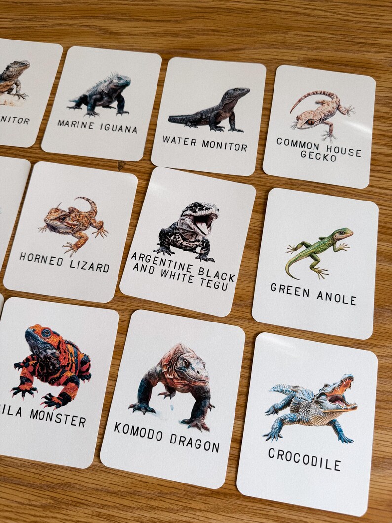 Reptile Species Flashcards, Homeschool, Learning Resource, Printable ...