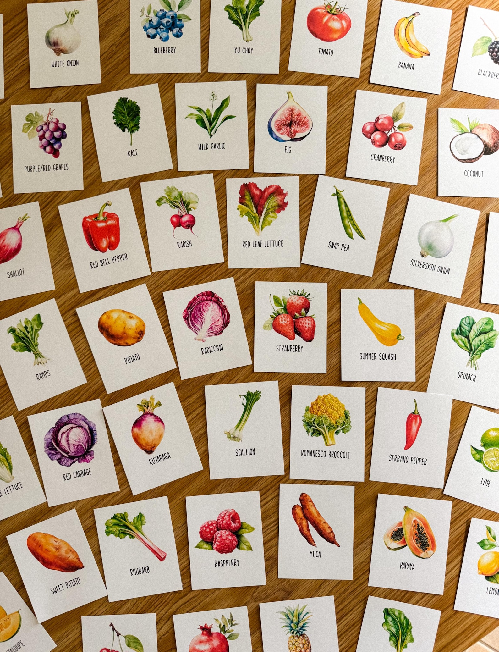 Fruit and Vegetable Flashcards, Homeschool, Learning Resource ...