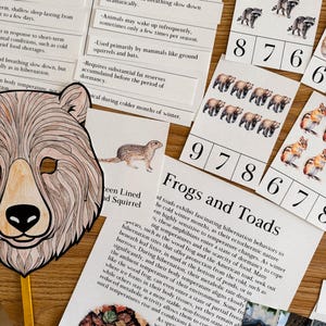 Hibernation/winter Sleep Unit Study, 107 Page PDF, Morning Basket ...