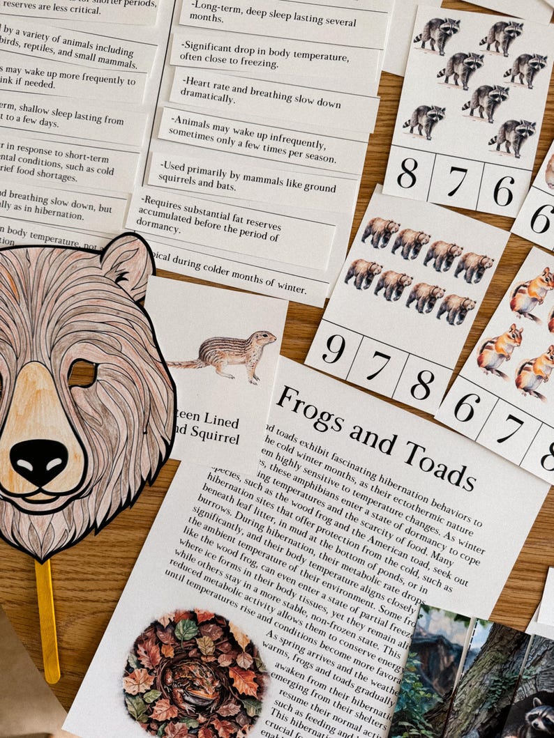 Hibernation/winter Sleep Unit Study, 107 Page PDF, Morning Basket ...