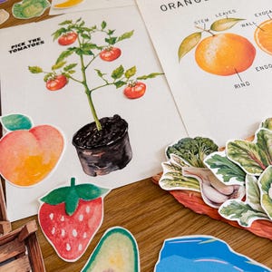 Fruit and Vegetables Unit Study, MEGA 220+ Pages, Morning Basket ...