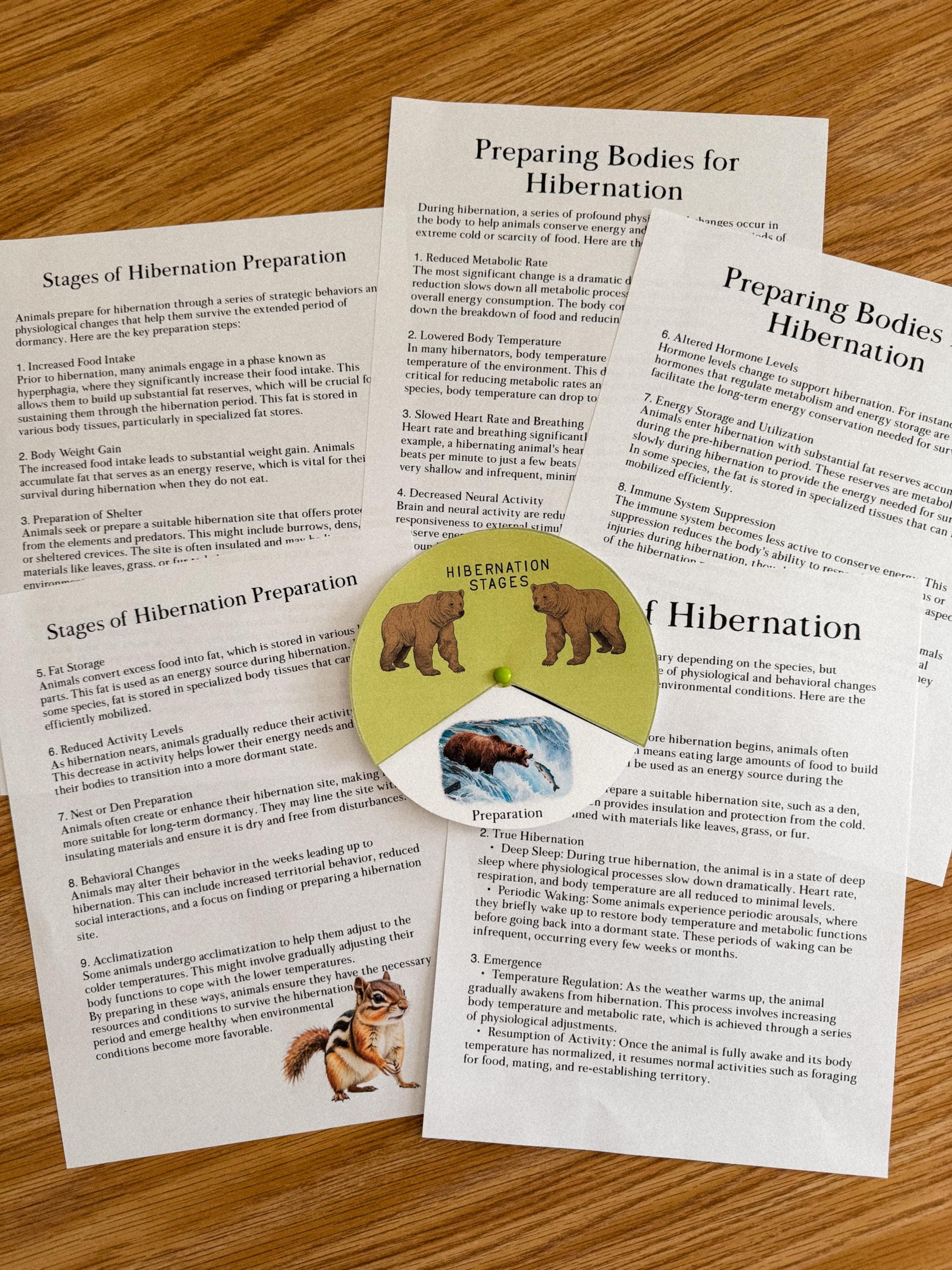 Hibernation Stages Wheel, Learning Resource, Printable, Nature Science ...