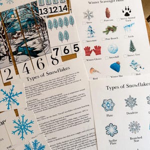 Winter Unit Study, 100 Page PDF, Morning Basket, Homeschool, Learning ...