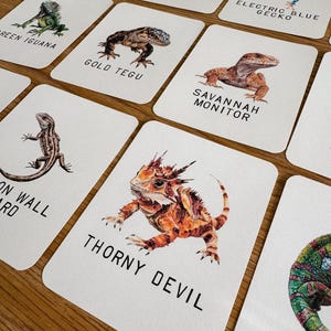 Reptile Species Flashcards, Homeschool, Learning Resource, Printable ...