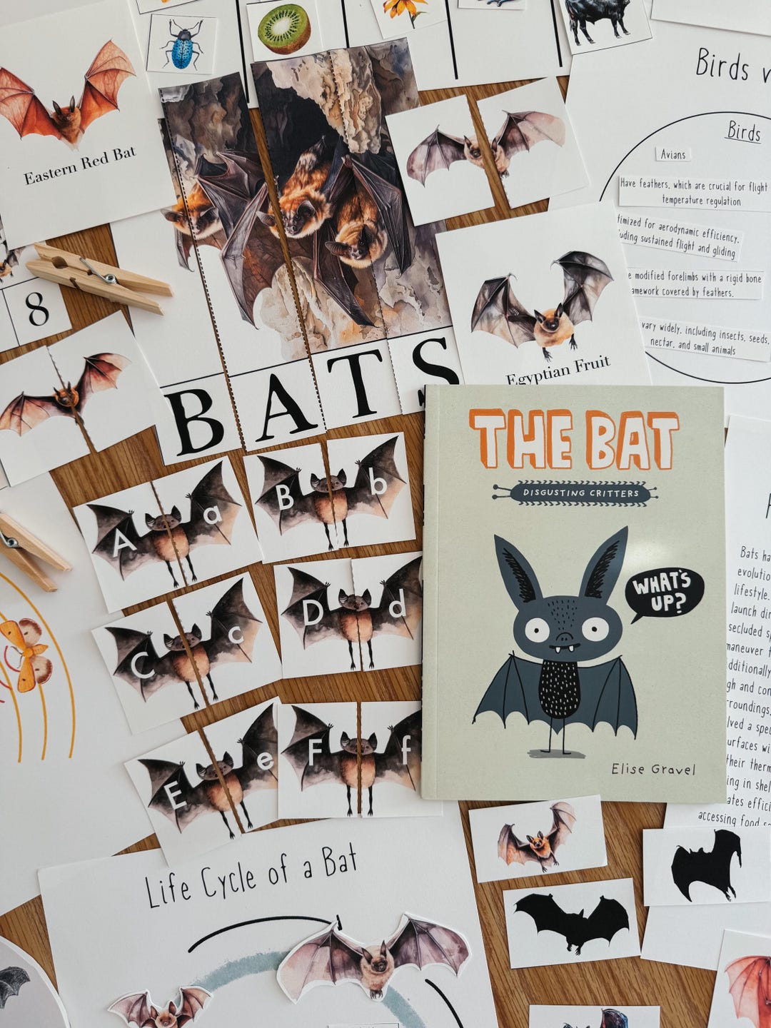 Bat Unit Study, 86 Page PDF, Morning Basket, Homeschool, Learning ...