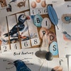 Backyard Birds Printable Flashcards - Montessori Educational Materials ...