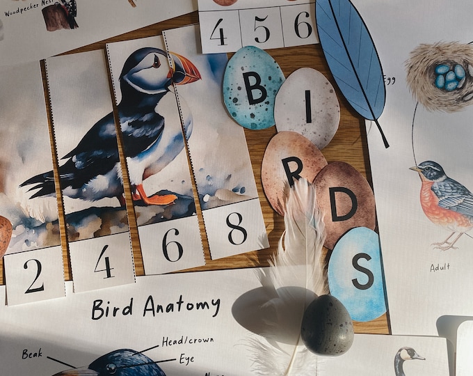 Watercolor Backyard Birds Poster & Flashcards - Etsy Canada