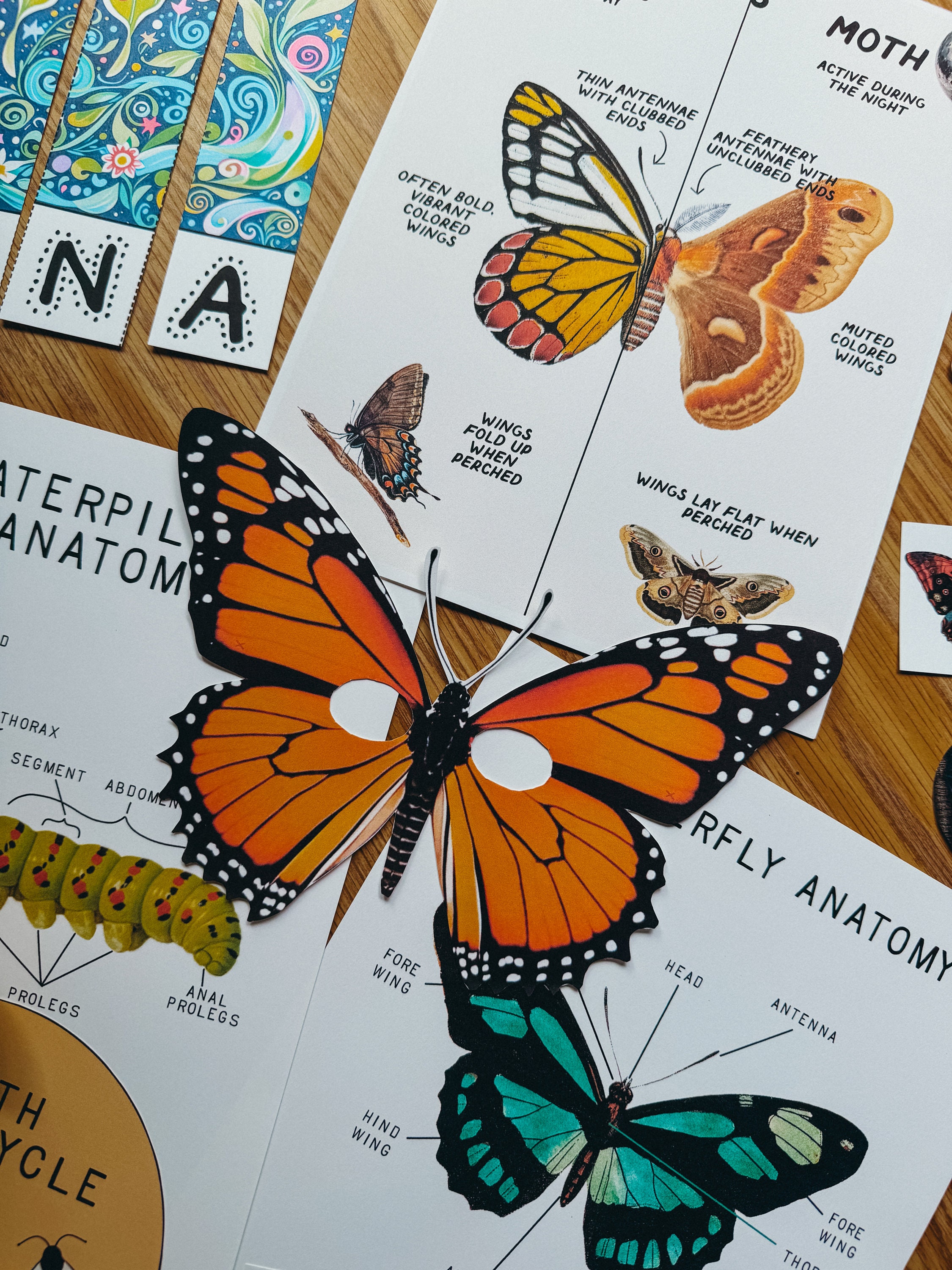 Butterfly & Moth Unit Study, 119 Page PDF, Morning Basket, Homeschool ...