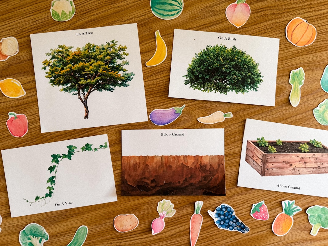 Where It Grows Fruit and Vegetable Game, Morning Basket, Homeschool ...