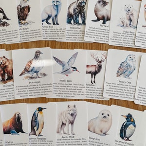 Polar Animal Flashcards, Arctic and Antarctic, Homeschool, Learning ...