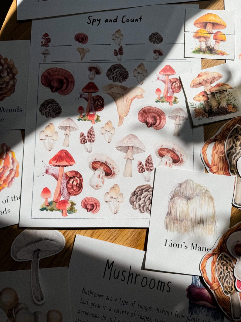 Mushroom & Fungi Unit Study, 110 Page PDF, Morning Basket, Homeschool ...