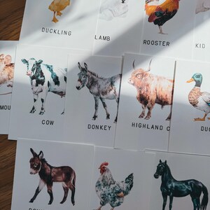 Farm Animal Flashcards, Homeschool, Learning Resource, Printable ...