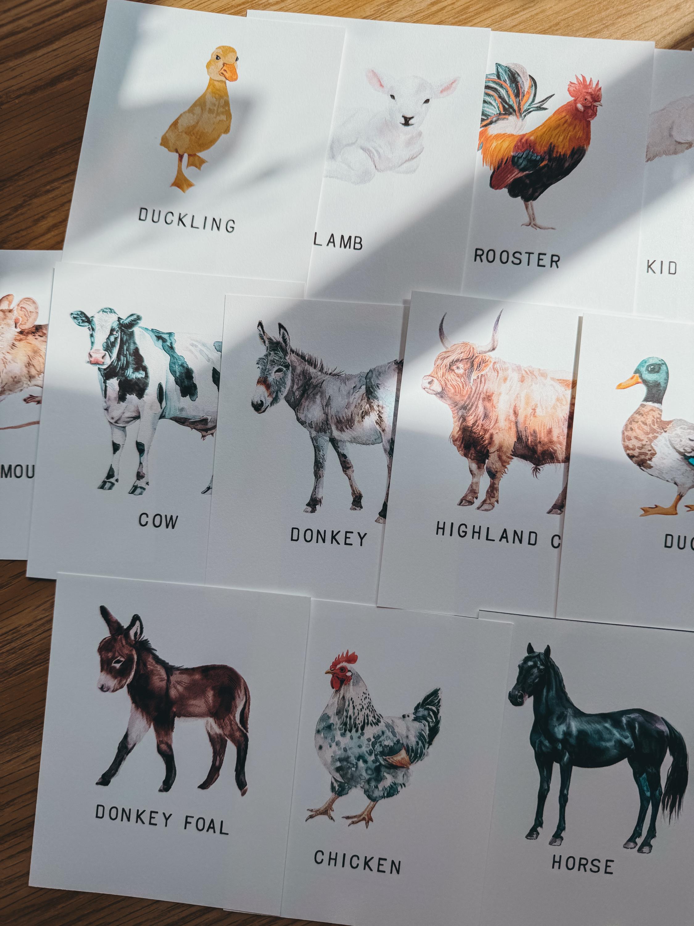 Farm Animal Flashcards, Homeschool, Learning Resource, Printable ...
