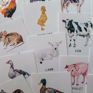 Farm Animal Flashcards, Homeschool, Learning Resource, Printable ...