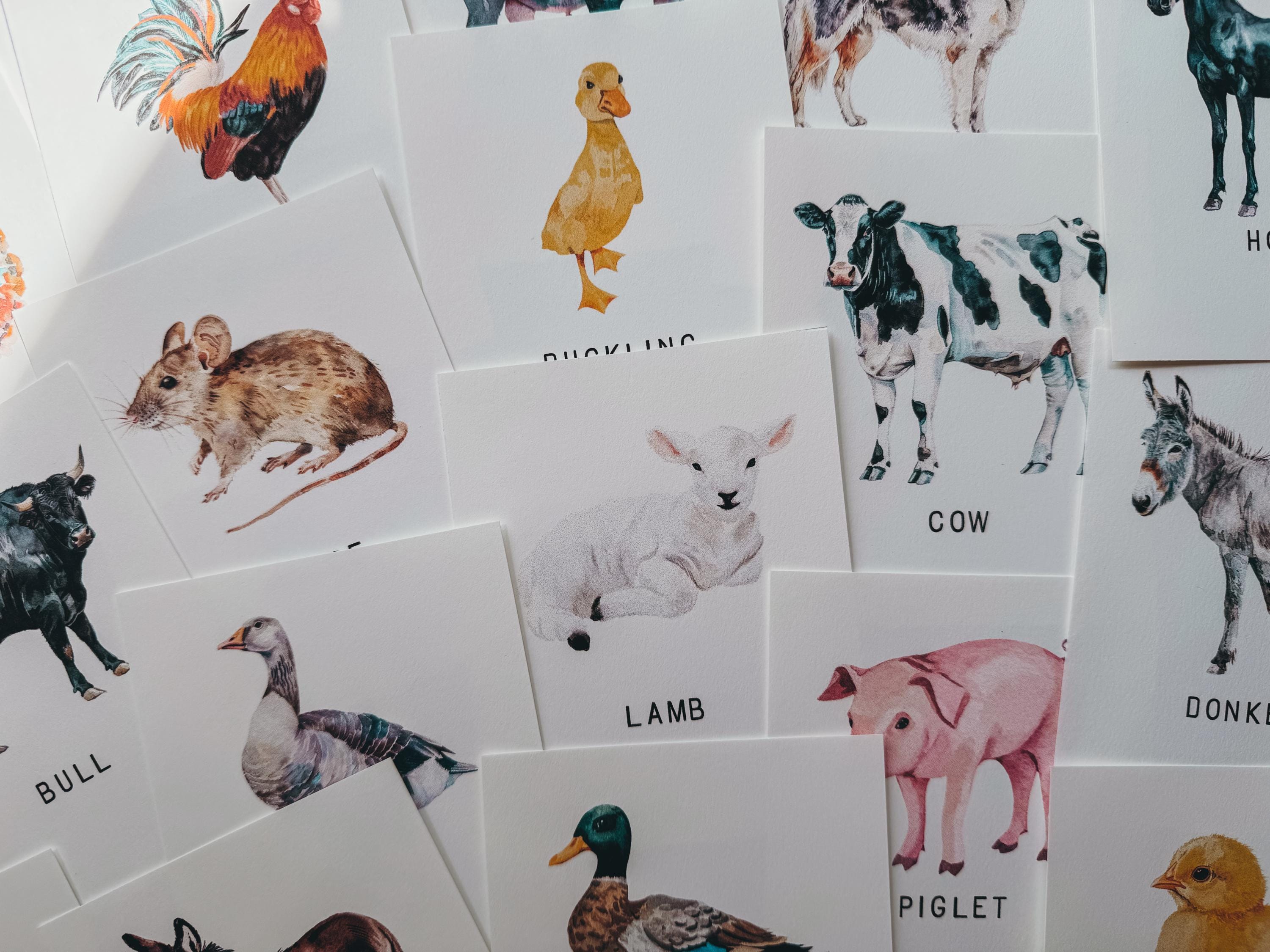 Farm Animal Flashcards, Homeschool, Learning Resource, Printable ...