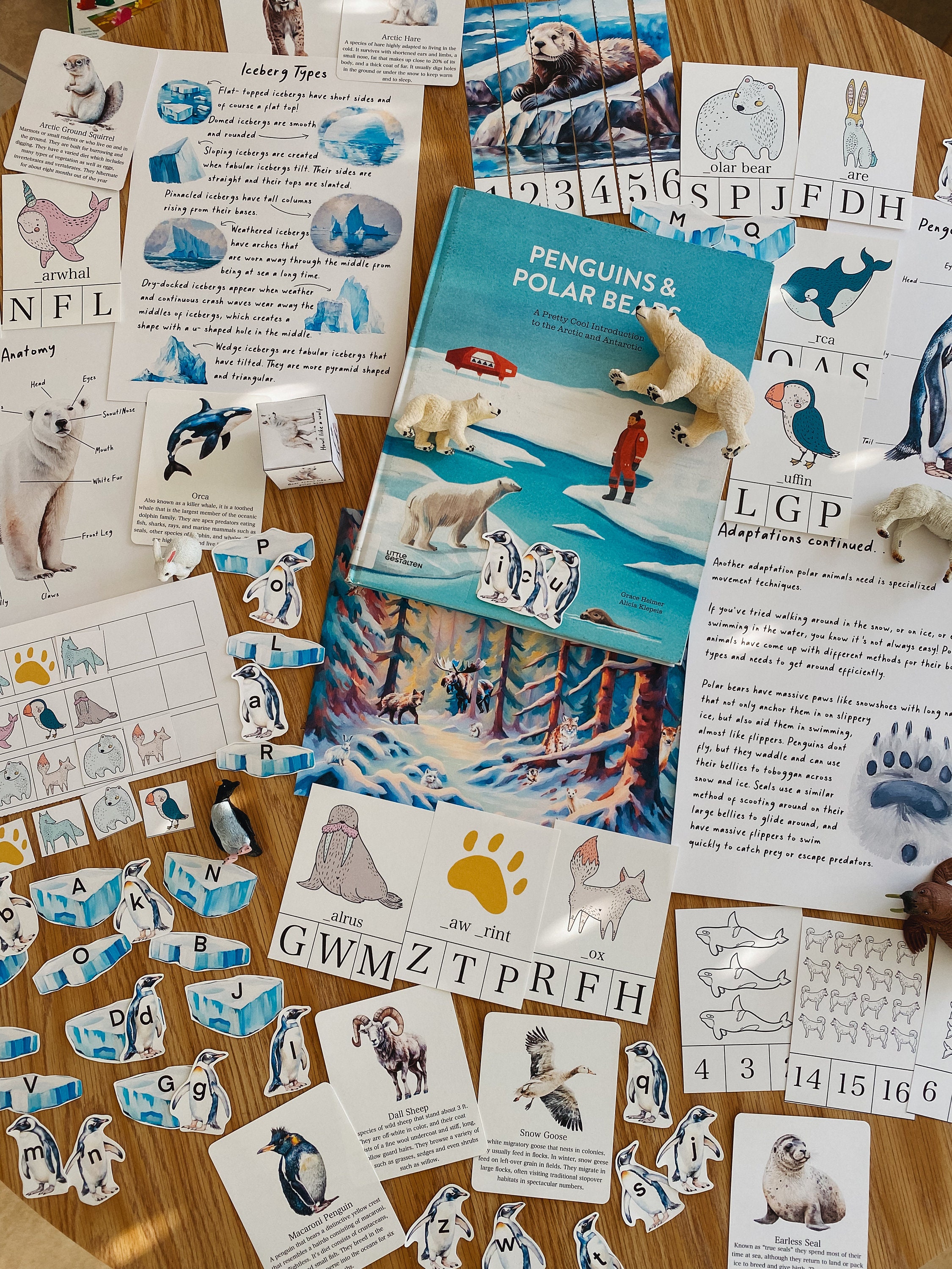 Polar Unit Study, 74 Page PDF, the Arctic and Antarctic, Homeschool ...