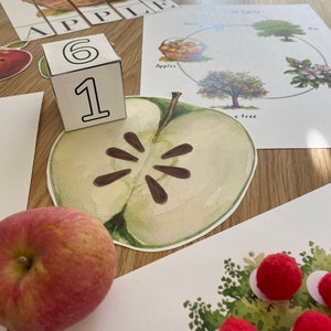 Apples Unit Study, 40 Page PDF, Morning Basket, Homeschool, Learning ...