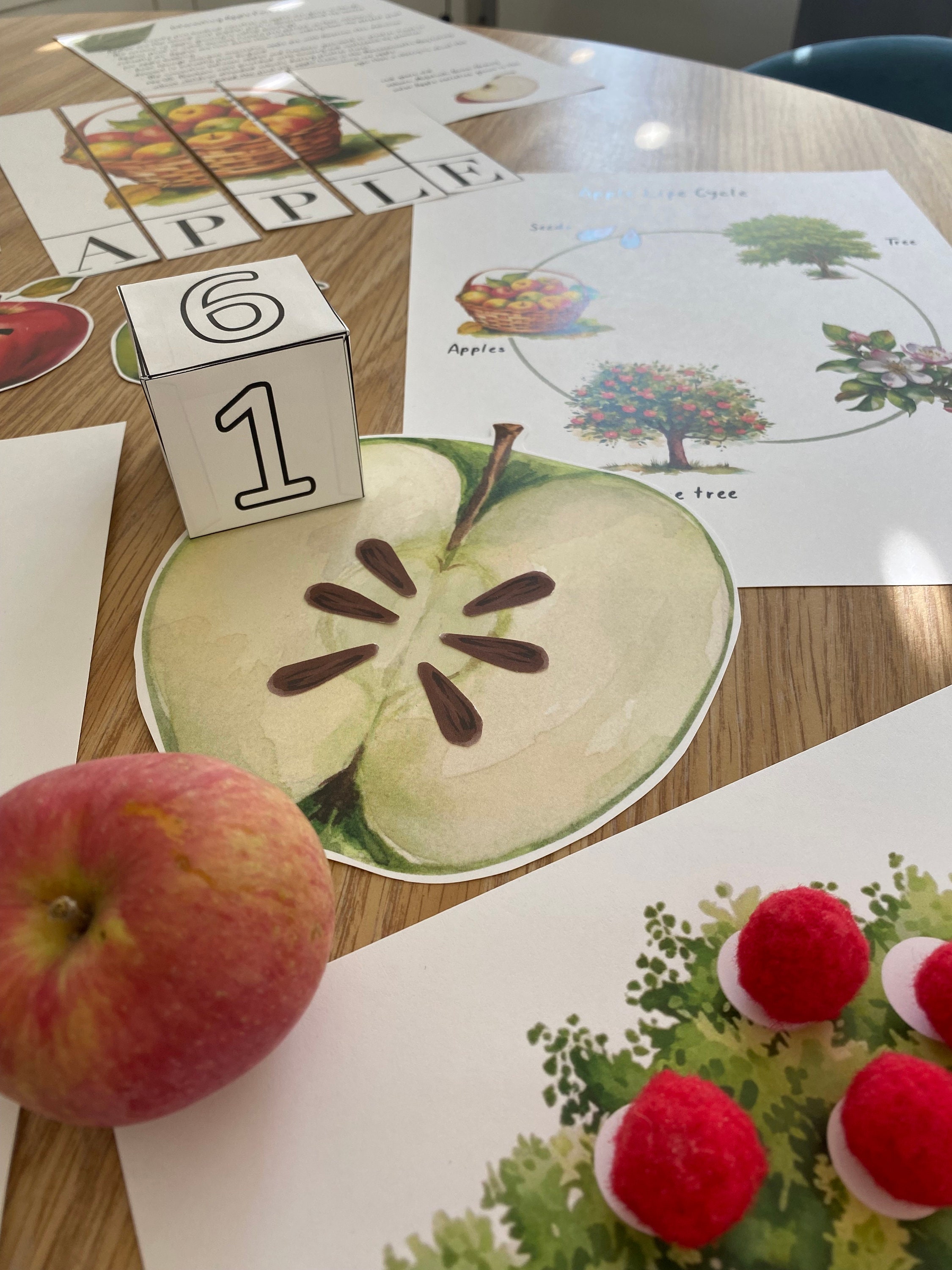 Apples Unit Study, 40 Page PDF, Morning Basket, Homeschool, Learning ...