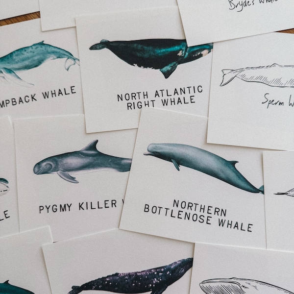 Whales - Etsy UK