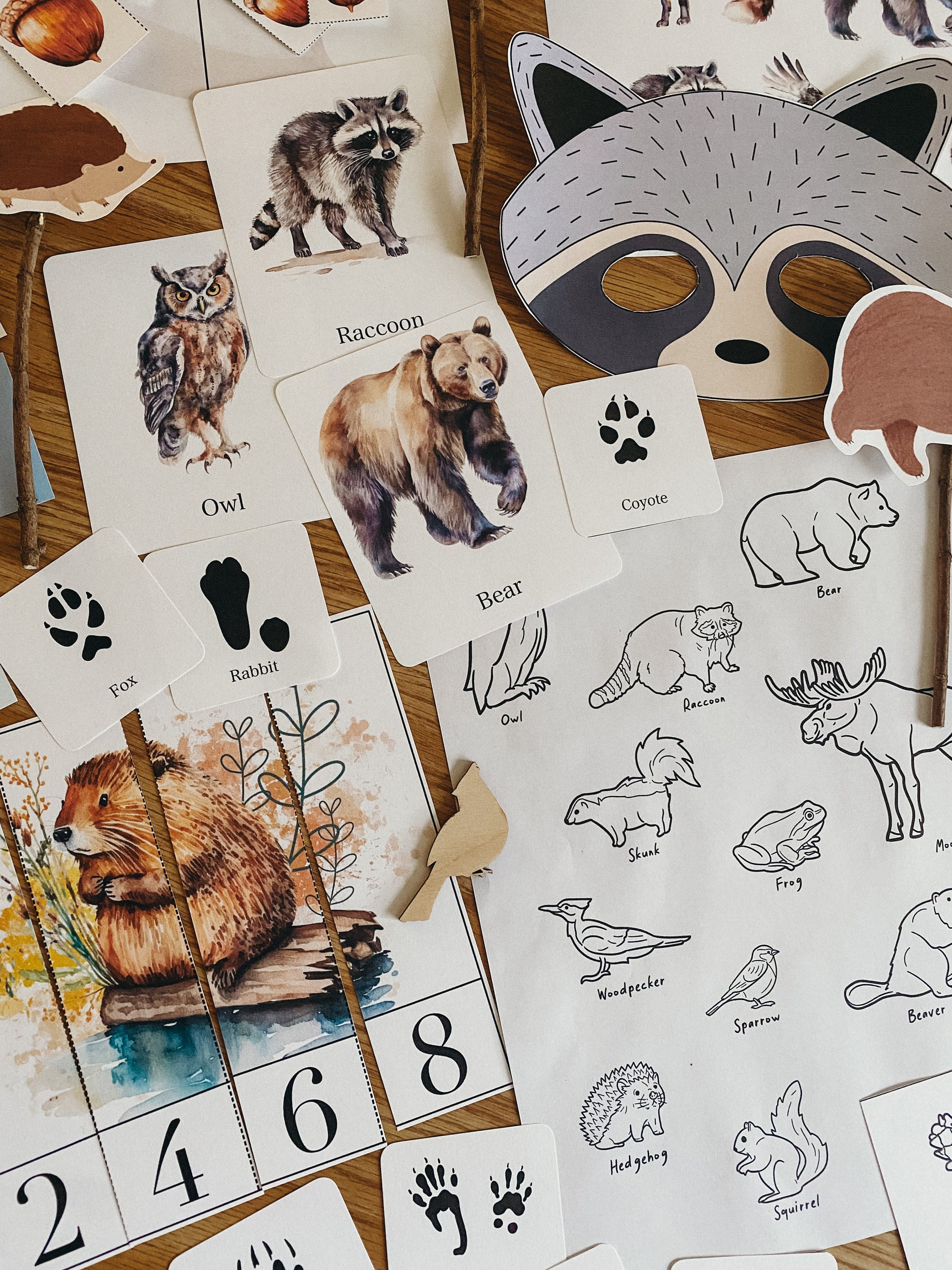 Forest Unit Study, 85 Page PDF, Morning Basket, Homeschool, Learning ...