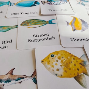 Ocean Animal Flashcards, Morning Basket, Homeschool, Learning Resource ...