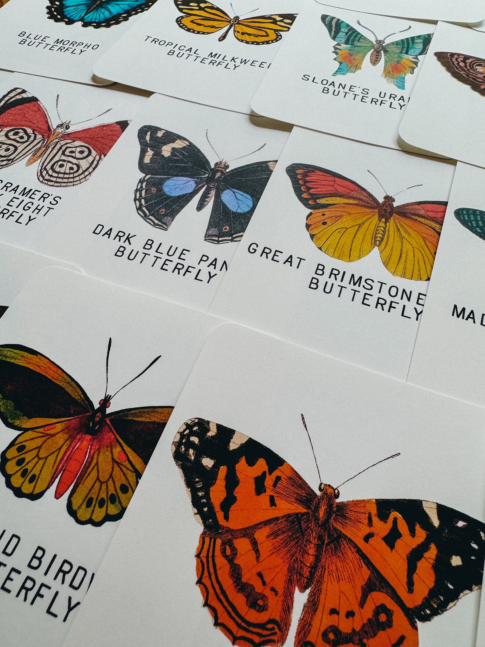 Butterfly and Moth Species Flashcards, Homeschool, Learning Resource ...