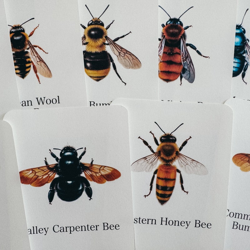 Bee - Etsy