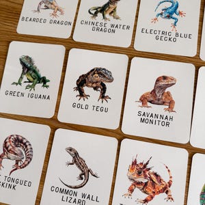 Reptile Species Flashcards, Homeschool, Learning Resource, Printable ...