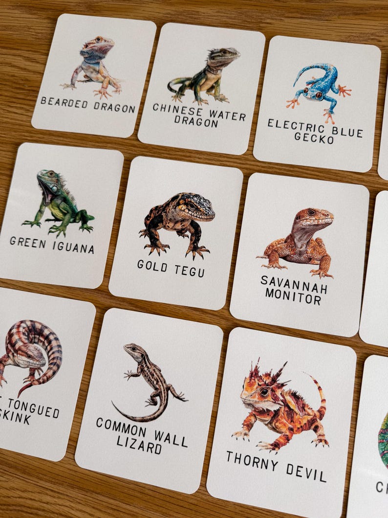 Reptile Species Flashcards, Homeschool, Learning Resource, Printable ...