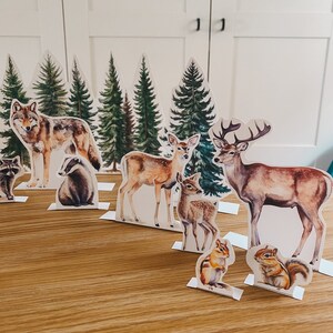 Forest Nature Scenes Paper Cutouts, Morning Basket, Homeschool ...