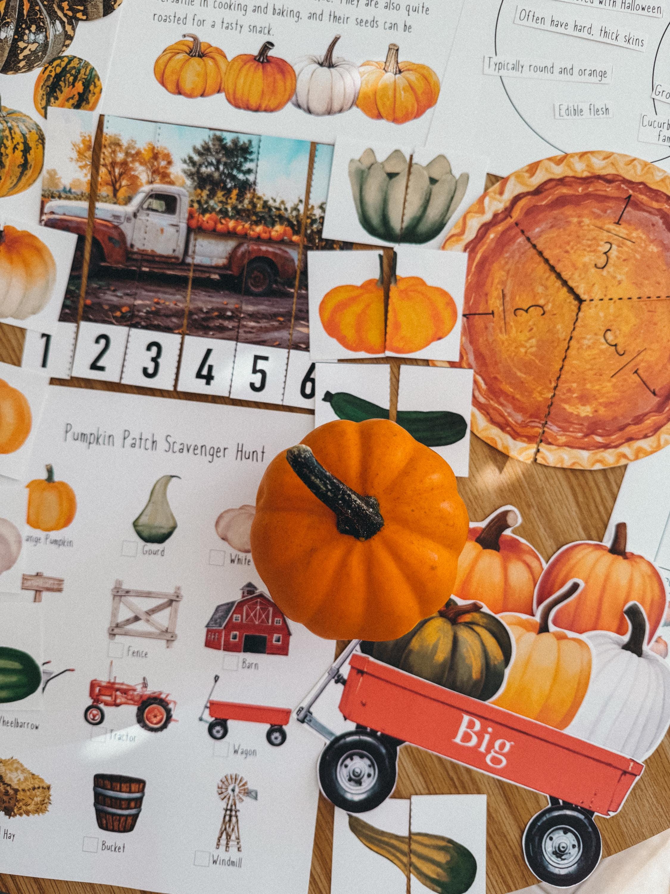 Pumpkin Unit Study, 87 Page PDF, Morning Basket, Homeschool, Learning ...