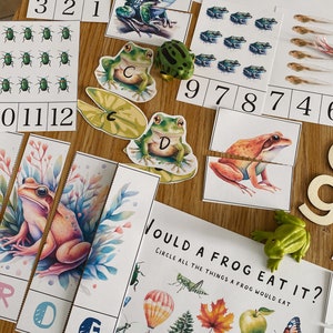 Frog Unit Study, 62 Page PDF, Amphibians, Homeschool, Learning Resource ...