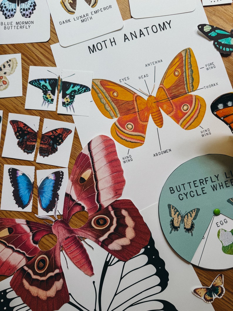 Butterfly & Moth Unit Study, 119 Page PDF, Morning Basket, Homeschool, Learning Resource, Nature ...