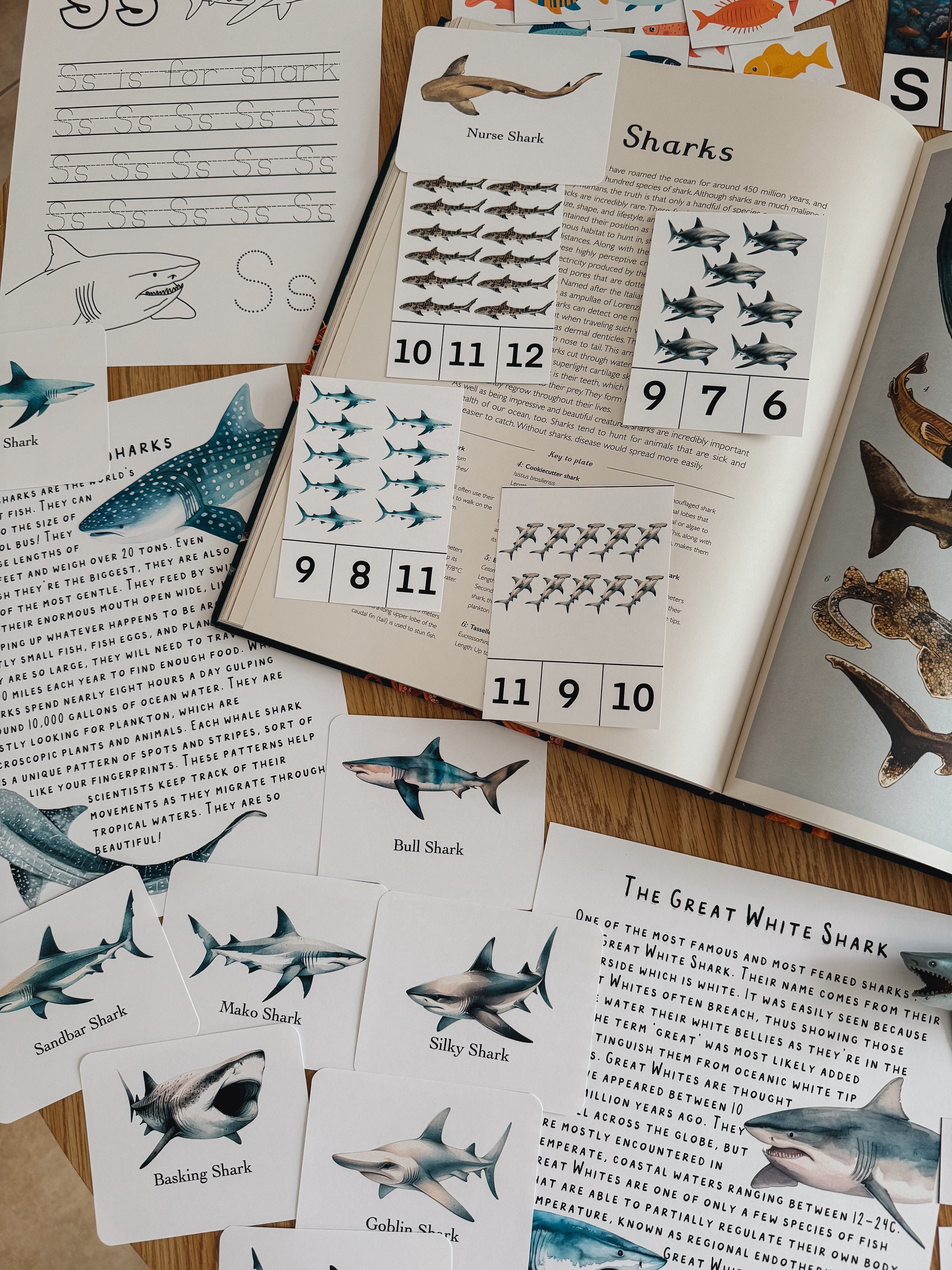 Shark Unit Study, Homeschool, Learning Resource, Printable, Nature ...