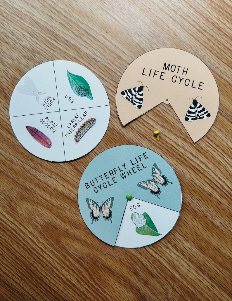 Butterfly & Moth Life Cycle Wheels, Learning Resource, Printable ...