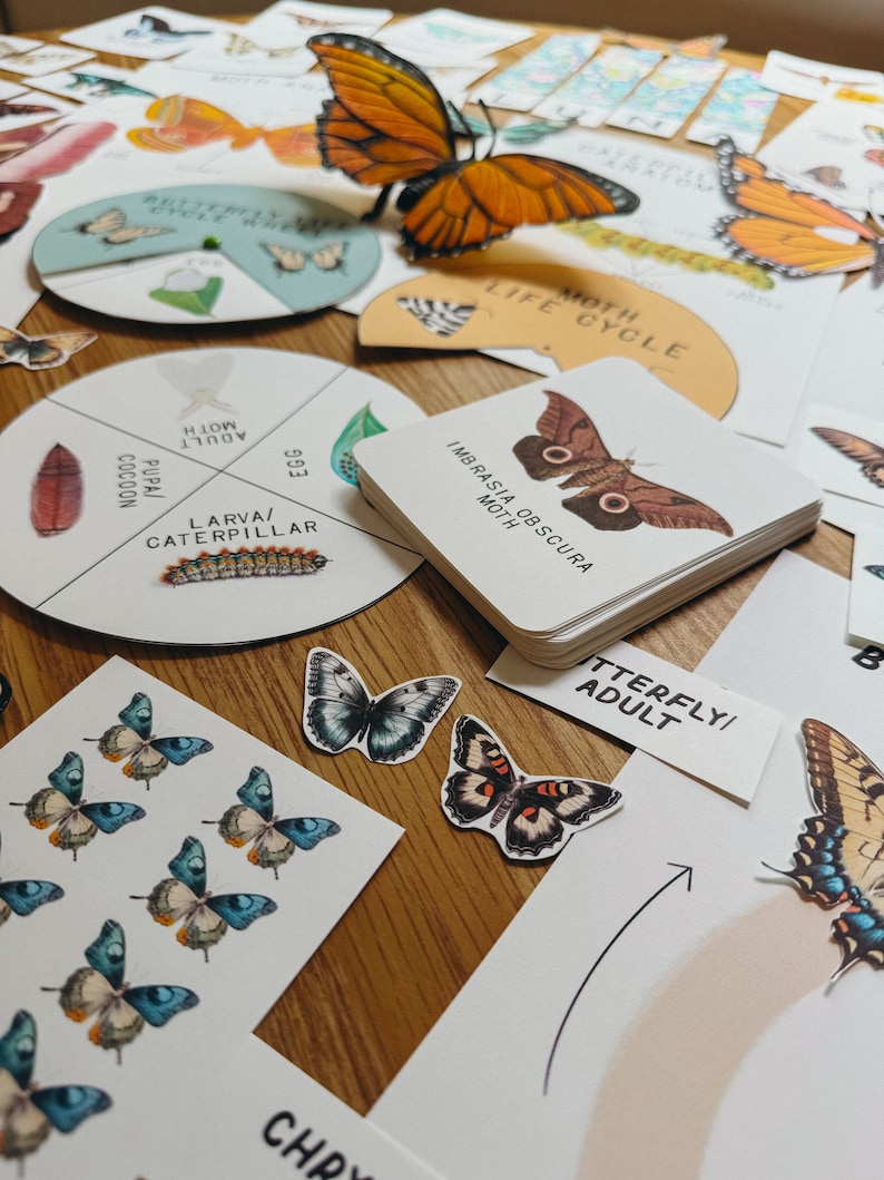 Butterfly & Moth Unit Study, 119 Page PDF, Morning Basket, Homeschool ...