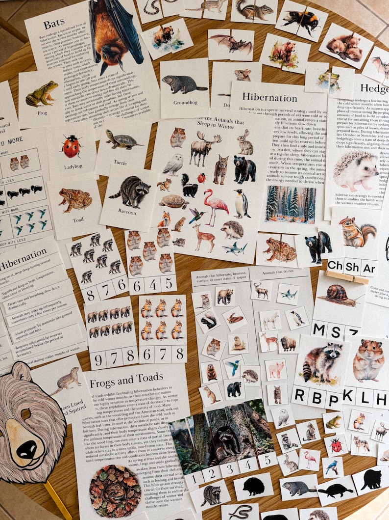 Hibernation/winter Sleep Unit Study, 107 Page PDF, Morning Basket ...