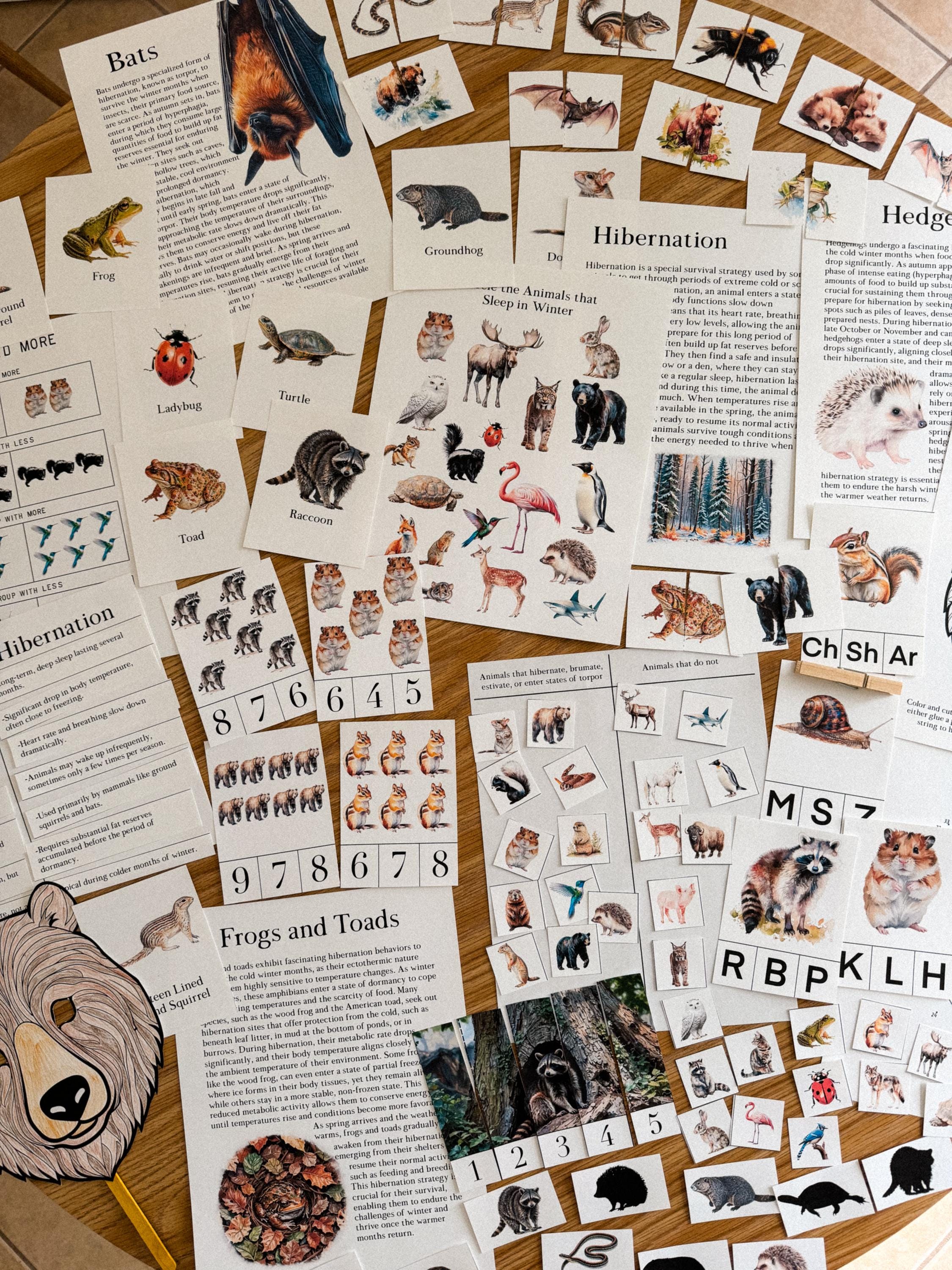 Hibernation/winter Sleep Unit Study, 107 Page PDF, Morning Basket ...