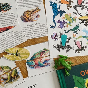 Frog Unit Study, 62 Page PDF, Amphibians, Homeschool, Learning Resource ...