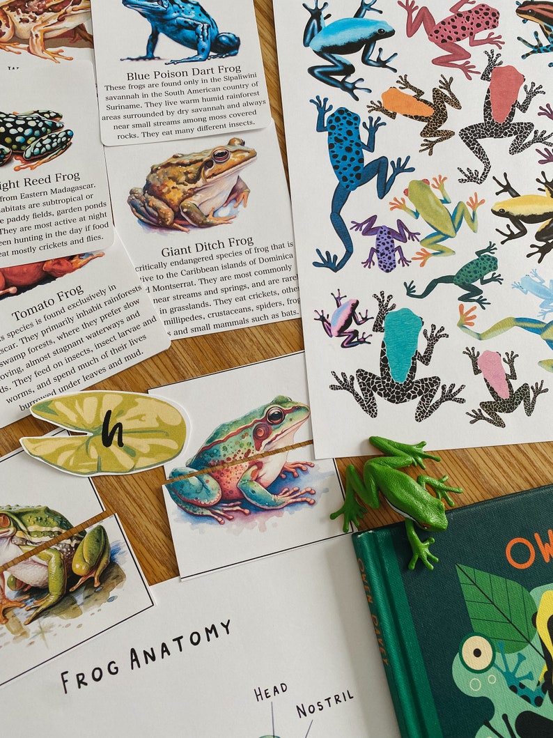 Frog Unit Study, 62 Page PDF, Amphibians, Homeschool, Learning Resource ...