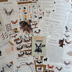 Bat Unit Study, 86 Page PDF, Morning Basket, Homeschool, Learning ...