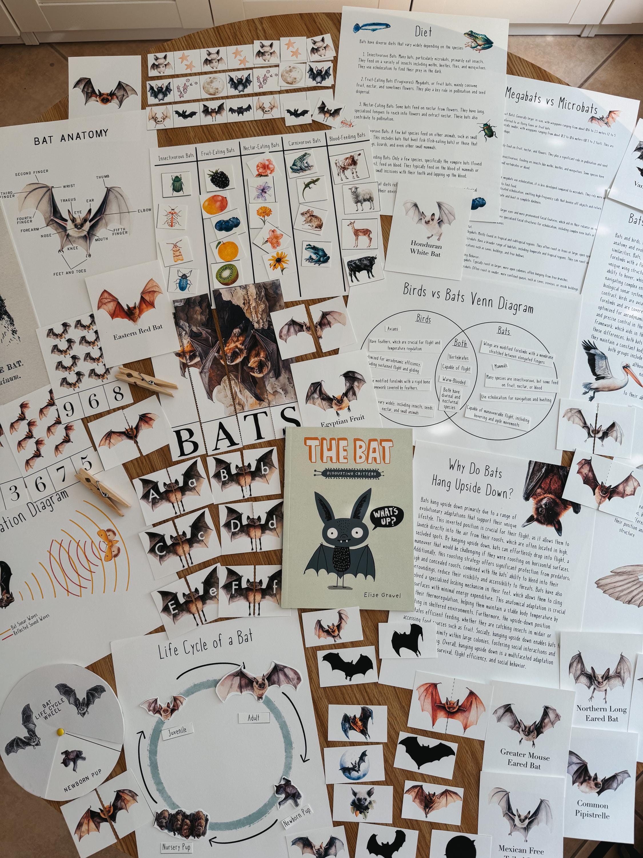 Bat Unit Study, 86 Page PDF, Morning Basket, Homeschool, Learning ...