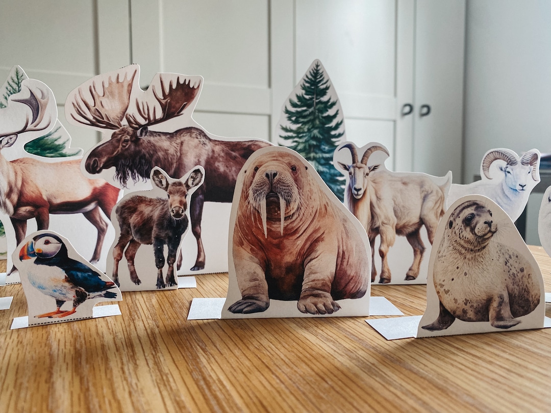 Polar Nature Scenes Paper Cutouts, Arctic, Antarctica, Homeschool ...